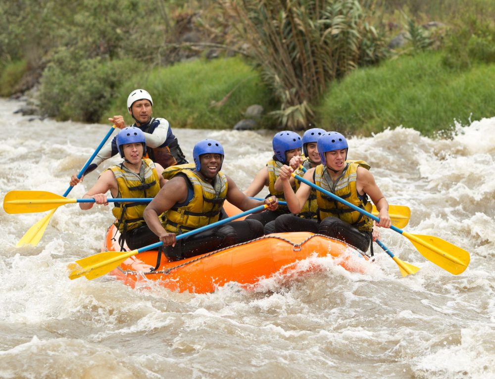 Alaskan Halibut Recipes: Lean, Tender, and Delectable | Trail Lake Lodge